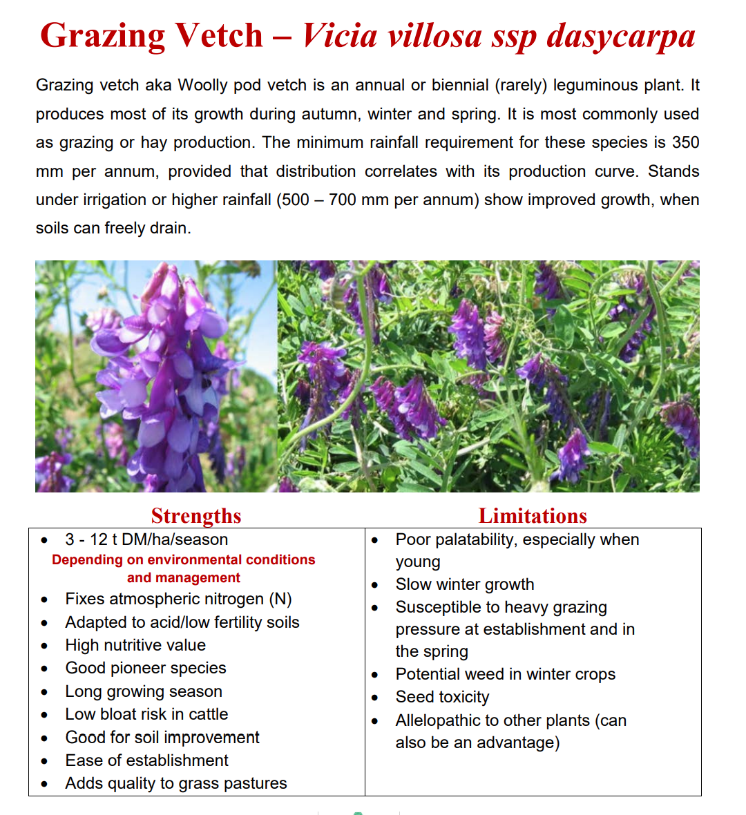 Grazing Vetch Seeds - Forage 25kg – OTD Paint & Hardware