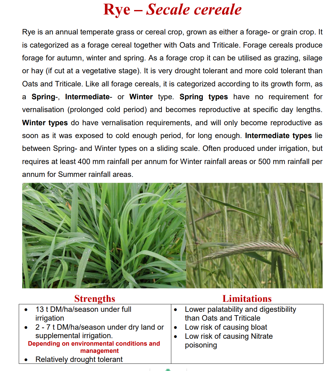 Rye Winter Grass 20kg – For the Farmer