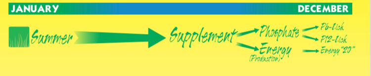 Lick P6 Phosphate no Diatoms Meal 25kg – For the Farmer